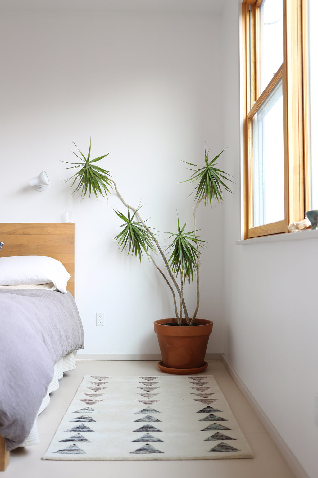 Arrow Rugs – Dana Haim